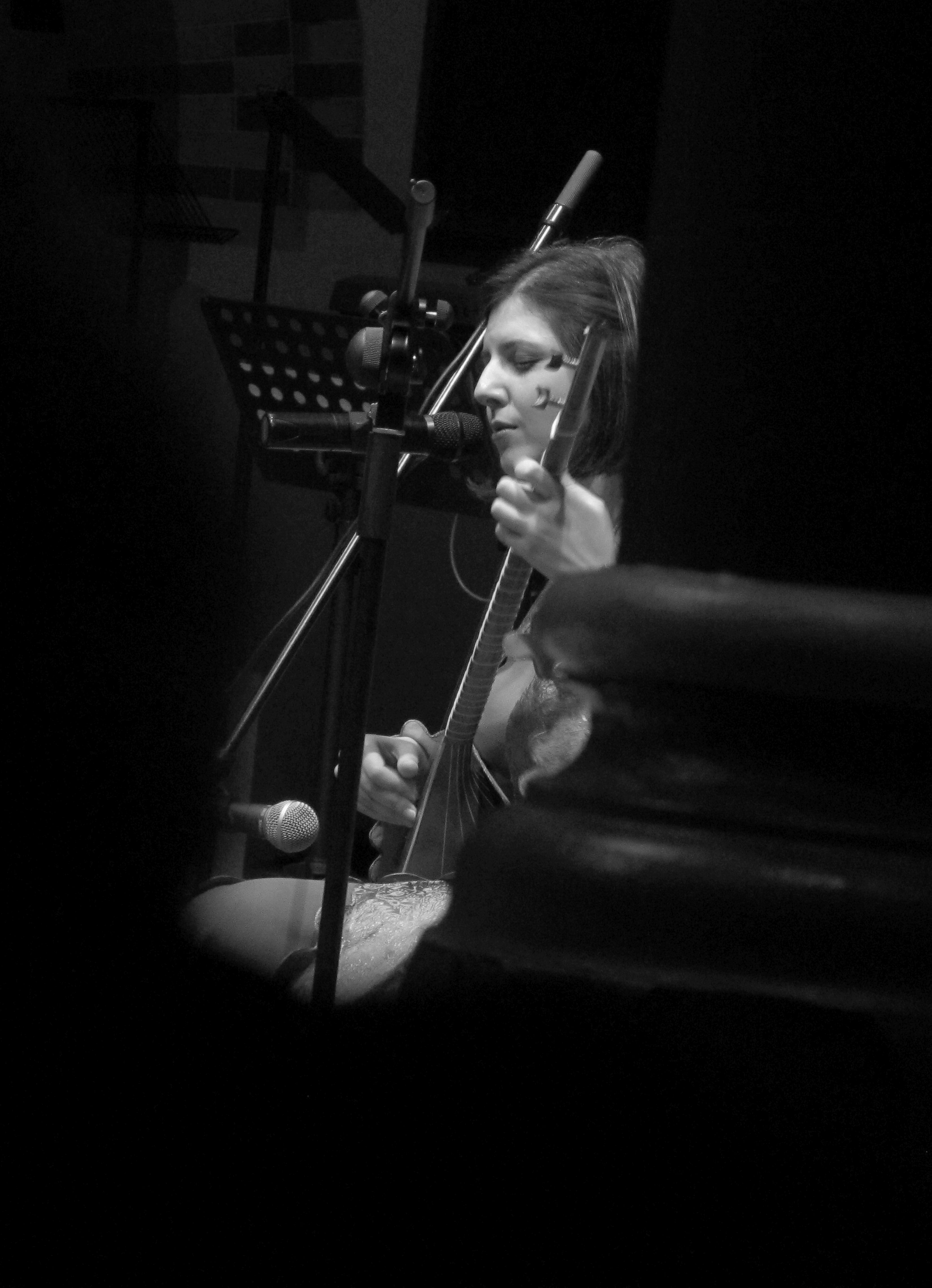 Musiker: Sepideh Raissadat (Iran)